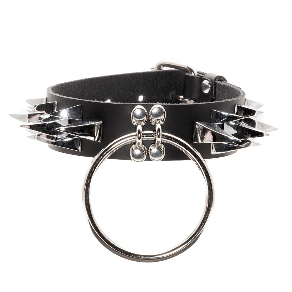 ☆Color-Swap No. 1 Collar – Pawstar