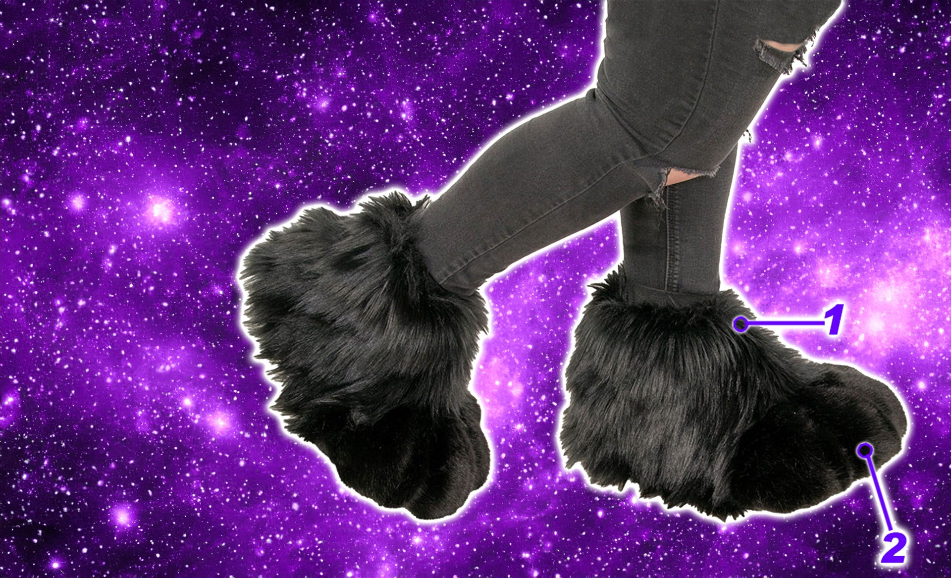 Pawstar Official Website